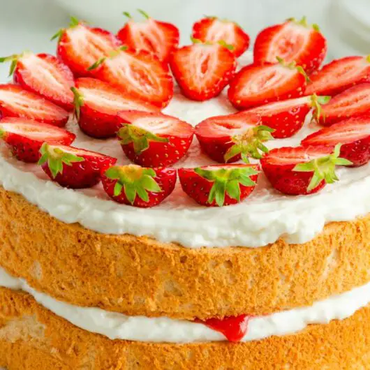 19 Of The Best Martha Stewart Cake Recipes Ever - Women Chefs